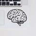 Anatomical Brain Decal, Laptop Sticker, Brain MacBook Decal, Removable ...