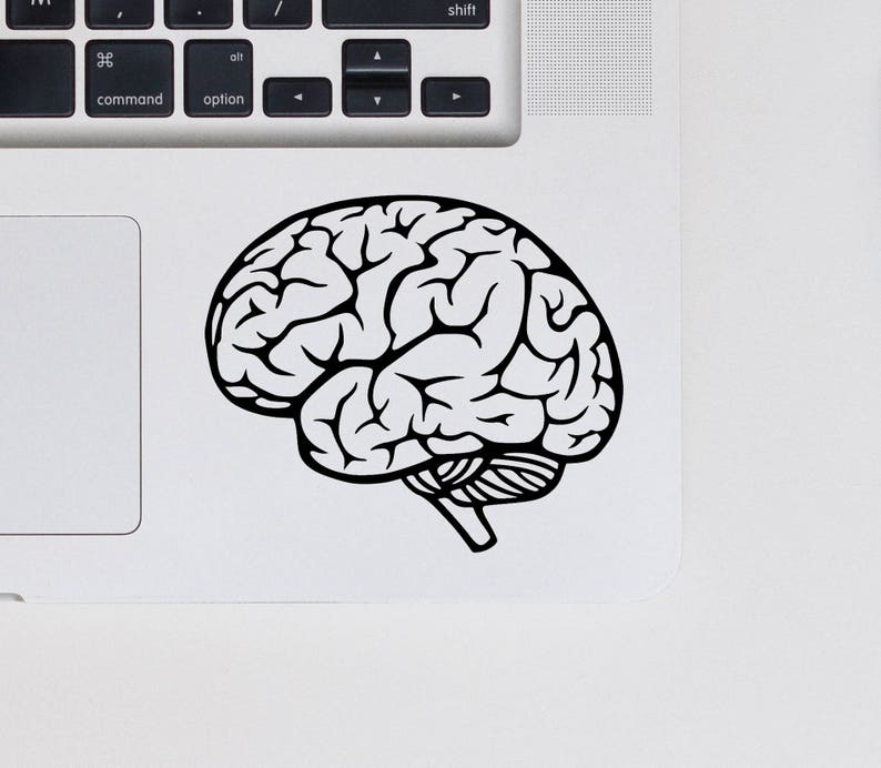Anatomical Brain Decal, Laptop Sticker, Brain MacBook Decal, Removable ...