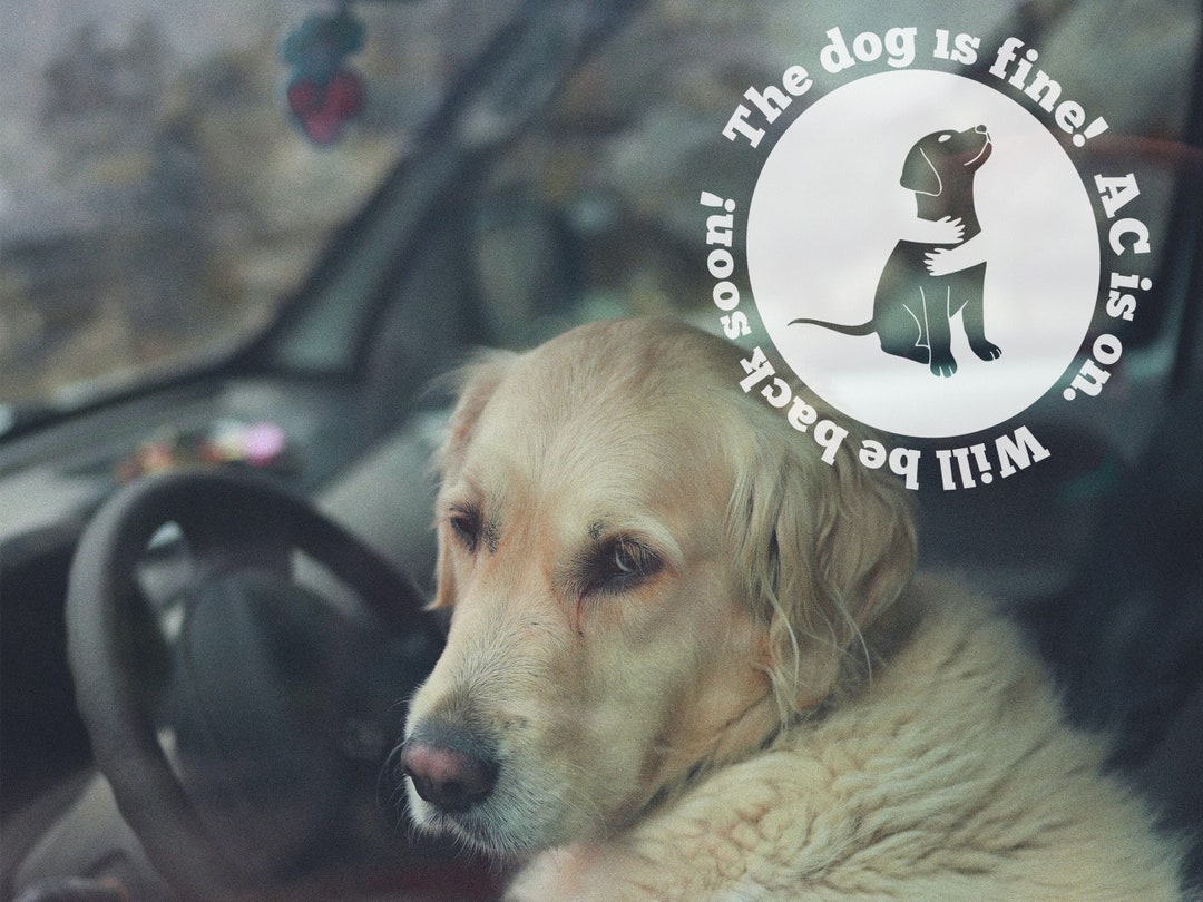Dog in Car Sticker, Locked in Dog Sign, Regulated Dog Temperature, Dog ...