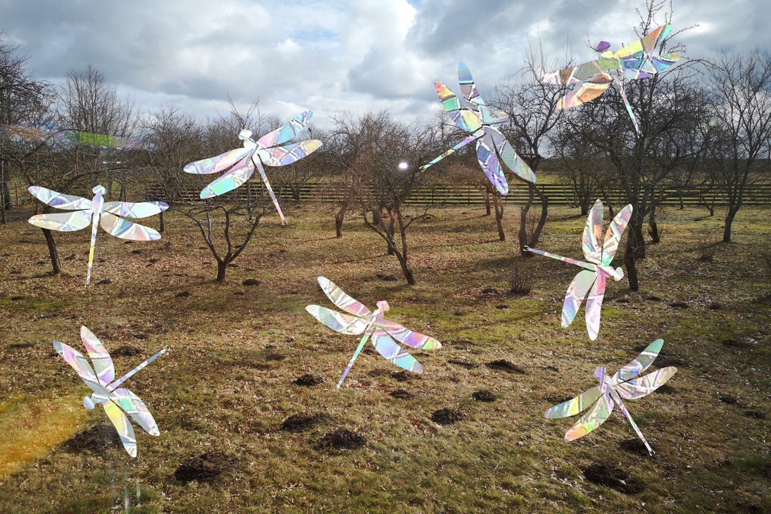 8 Dragonfly Suncatchers, Dragonfly Window Decal, Rainbow Maker ...