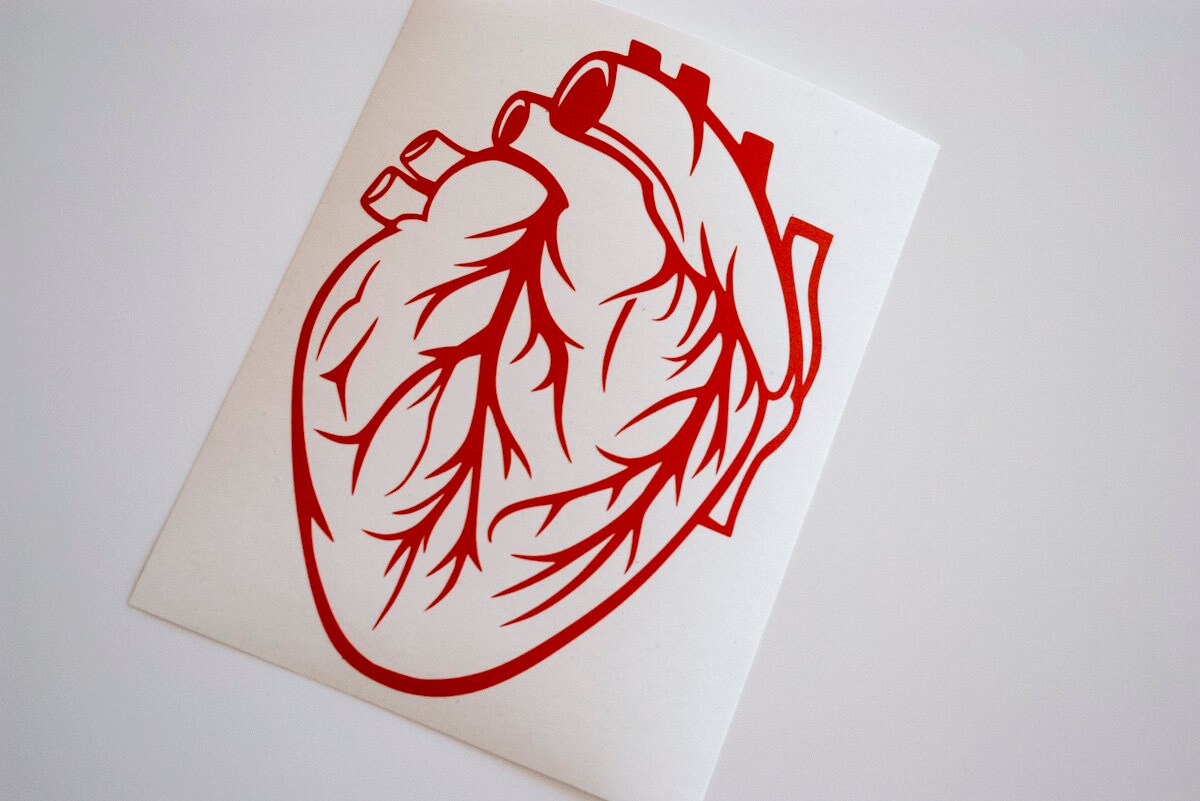 Anatomical Heart Decal Heart Wall Sticker Macbook Stickers - Etsy Canada