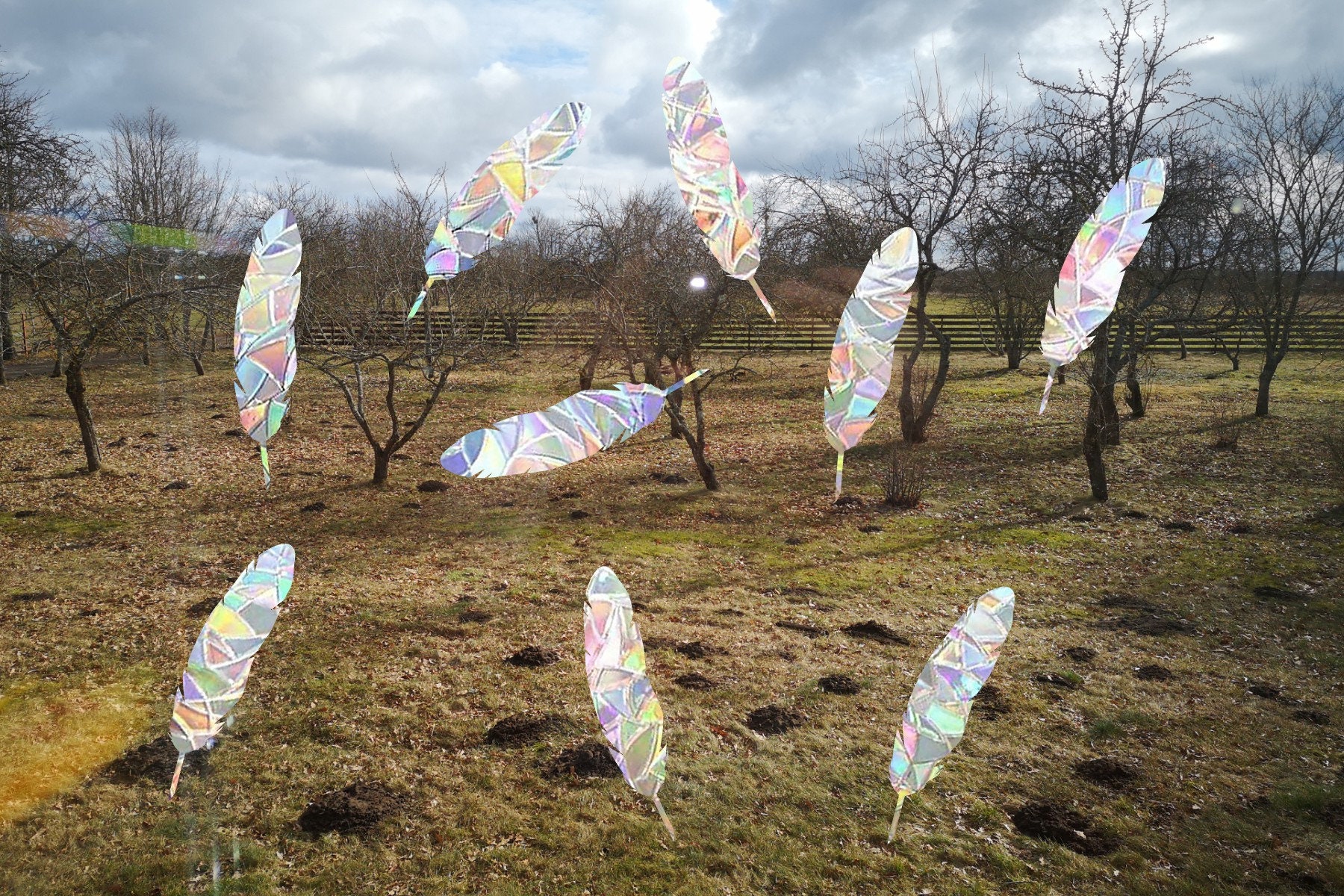 9 Feathers Suncatcher Feather Window Decal Rainbow Maker - Etsy