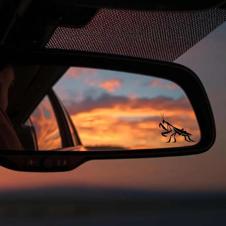 2x Praying Mantis Decals, Small Insect Sticker, Car Accessories, Nature ...