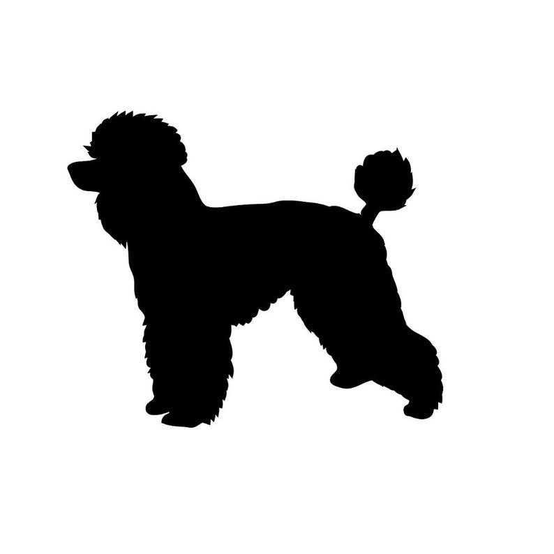 Poodle Decal, Poodle Vinyl Sticker, Dogs Car Decal, Dog Vinyl Wall ...