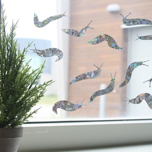 12 Slug Snales Suncatchers, Snail Window Decal, Rainbow Maker ...