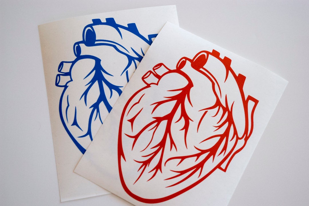 Anatomical Heart Decal, Heart Wall Sticker, MacBook Stickers, Gold ...