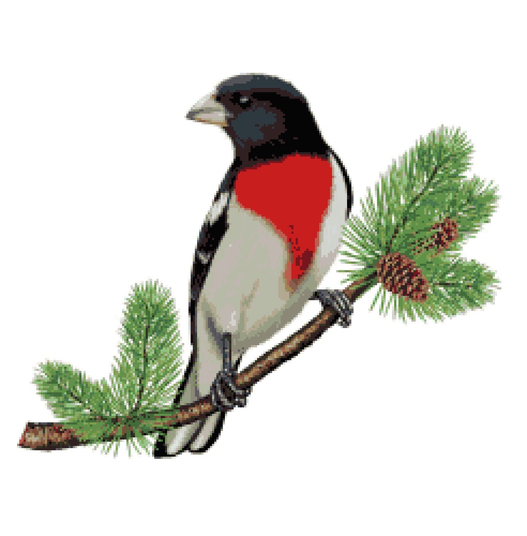 Grosbeak Bird Cross Stitch Pattern - Rose Breasted Bird Counted Cross ...