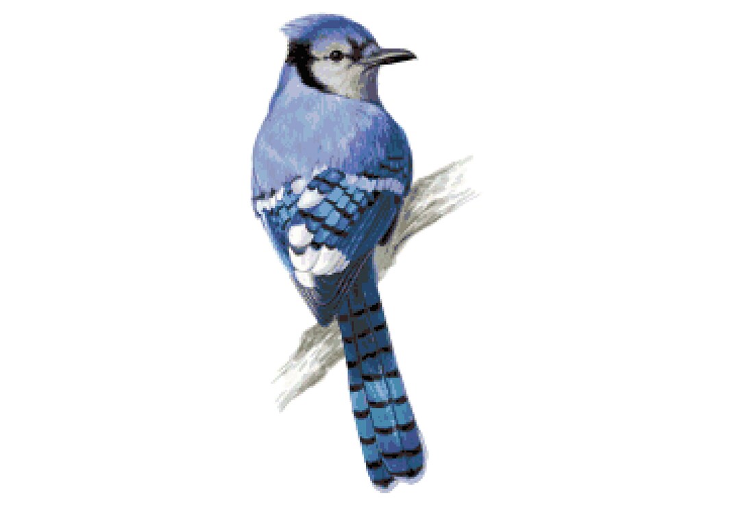 Hand Drawn Blue Jay Counted Cross Stitch Pattern - Wild Bird Cross ...