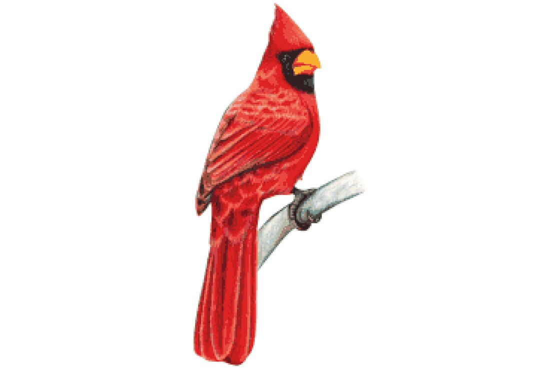 Hand Drawn Cardinal Cross Stitch Pattern, Red Northern Wild Bird ...