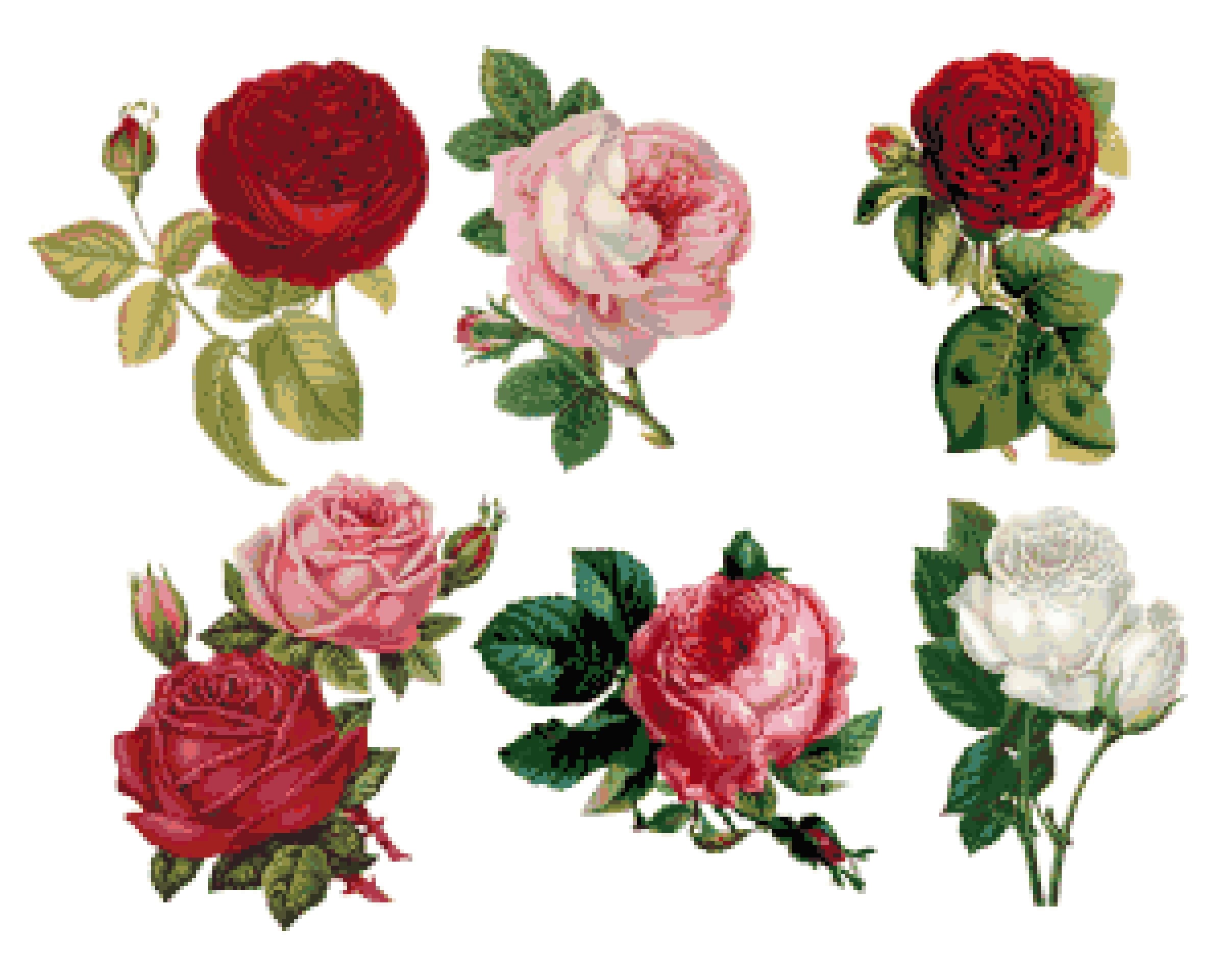 Vintage Roses Patterns