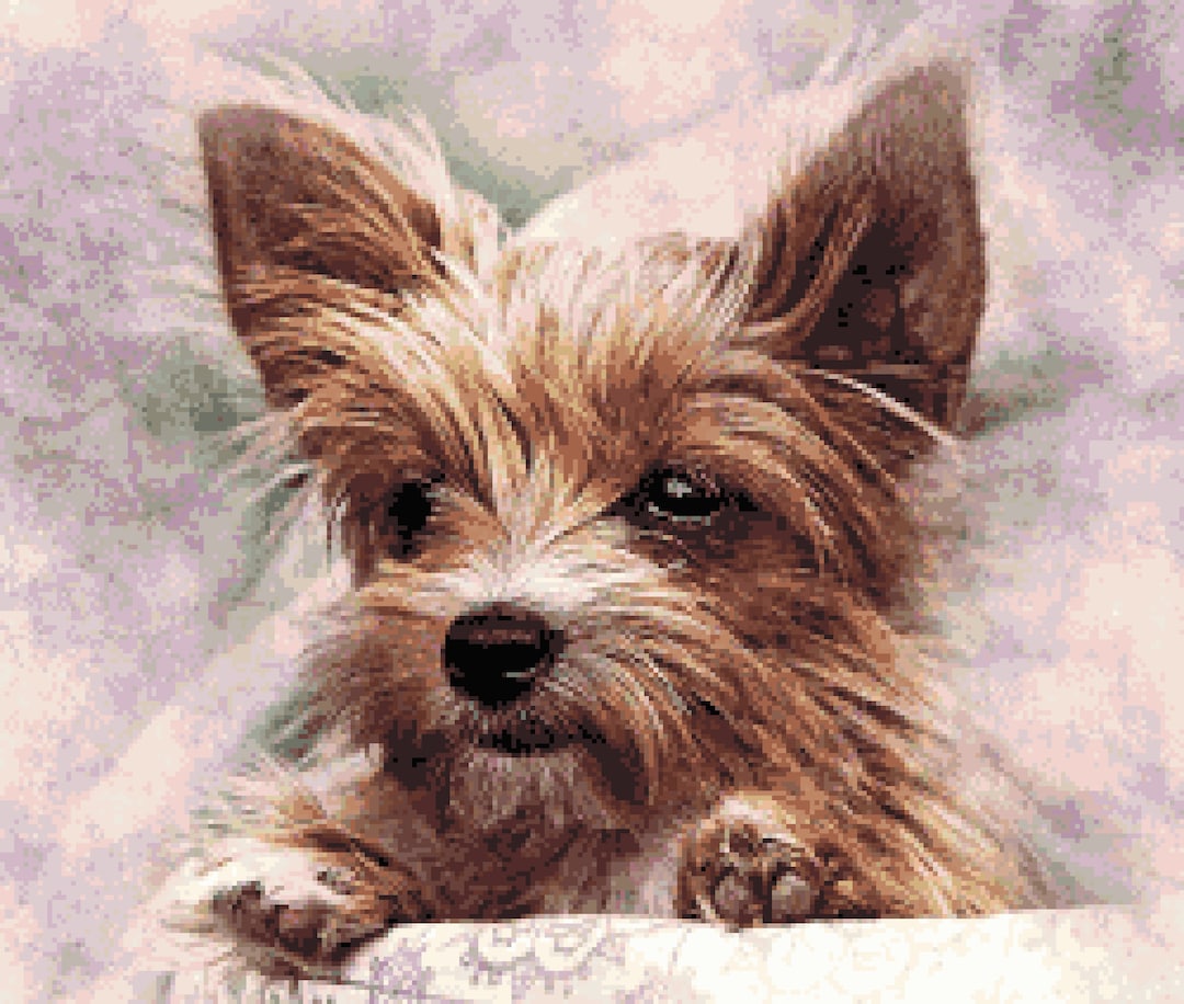 Puppy Love Cross Stitch Pattern - Yorkie Dog Counted Cross-stitch ...