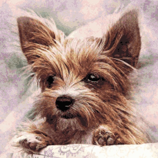 Yorkie Cross Stitch Pattern - Etsy
