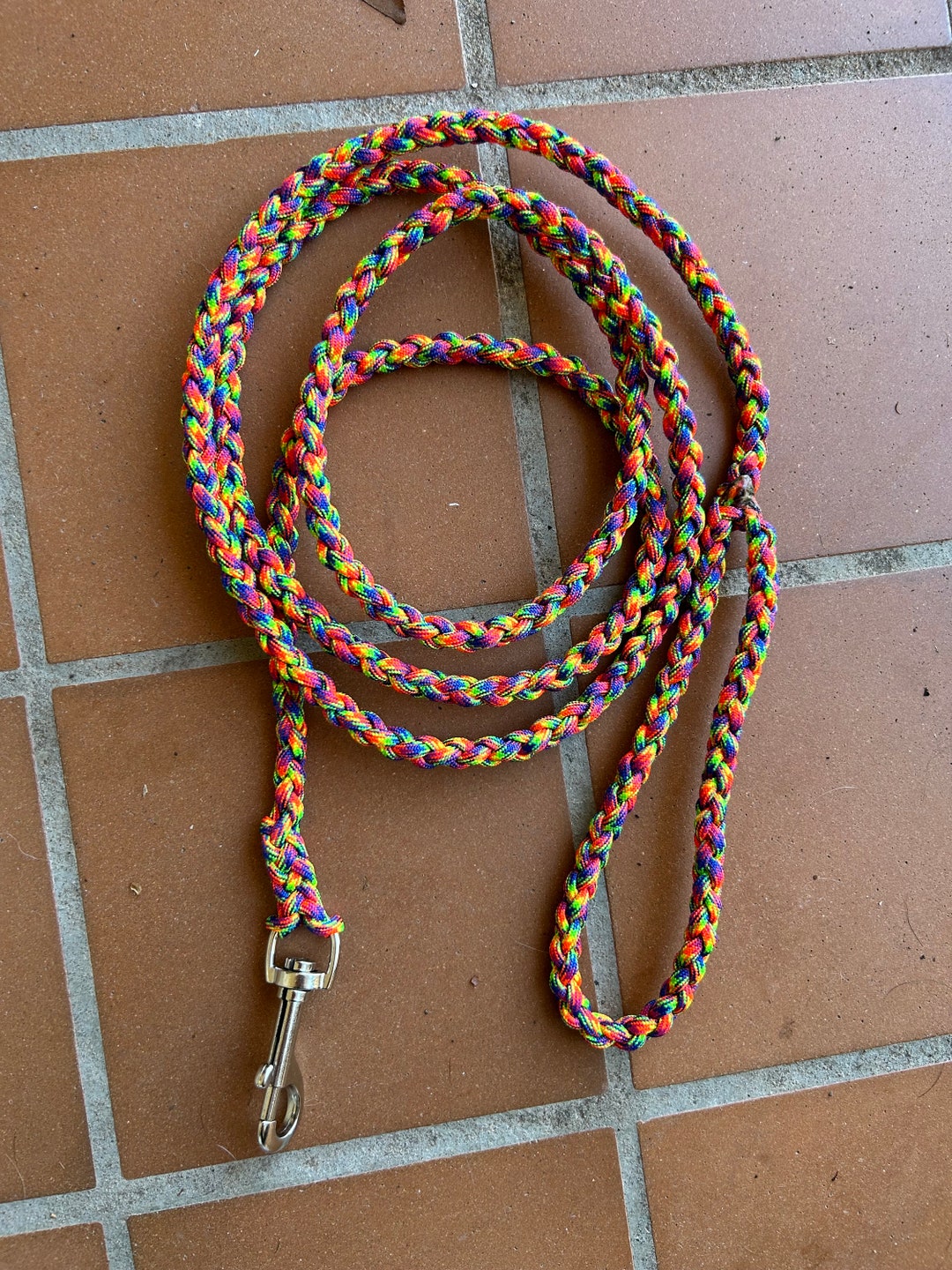 Neon Fiesta Dog Leash - Etsy