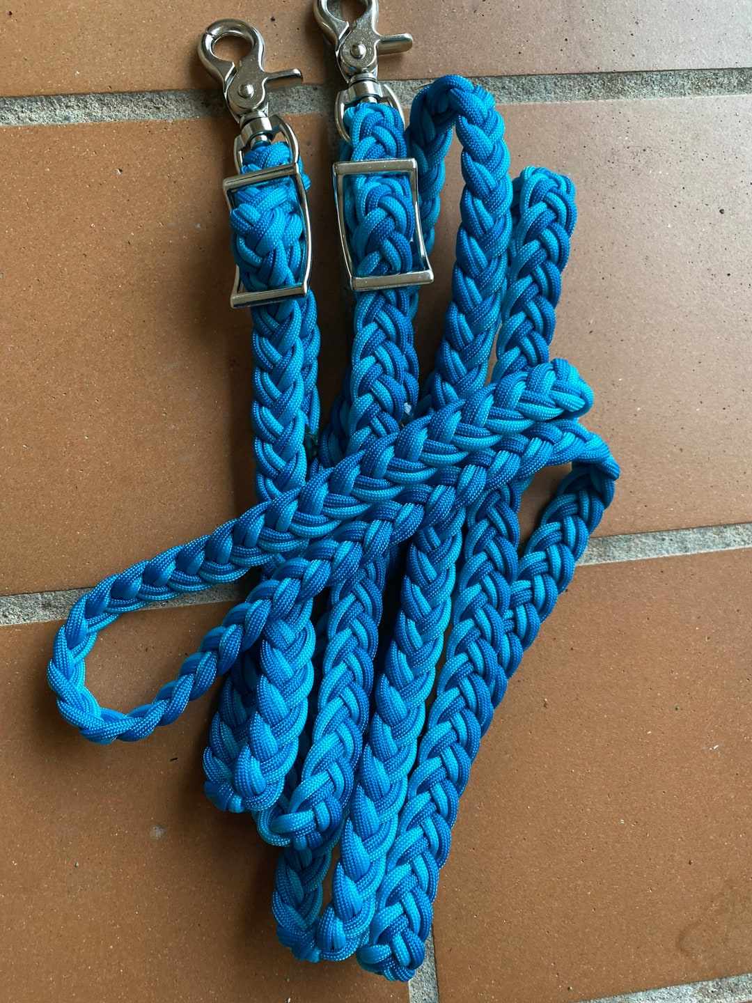 Shades of the Caribbean Reins - Etsy