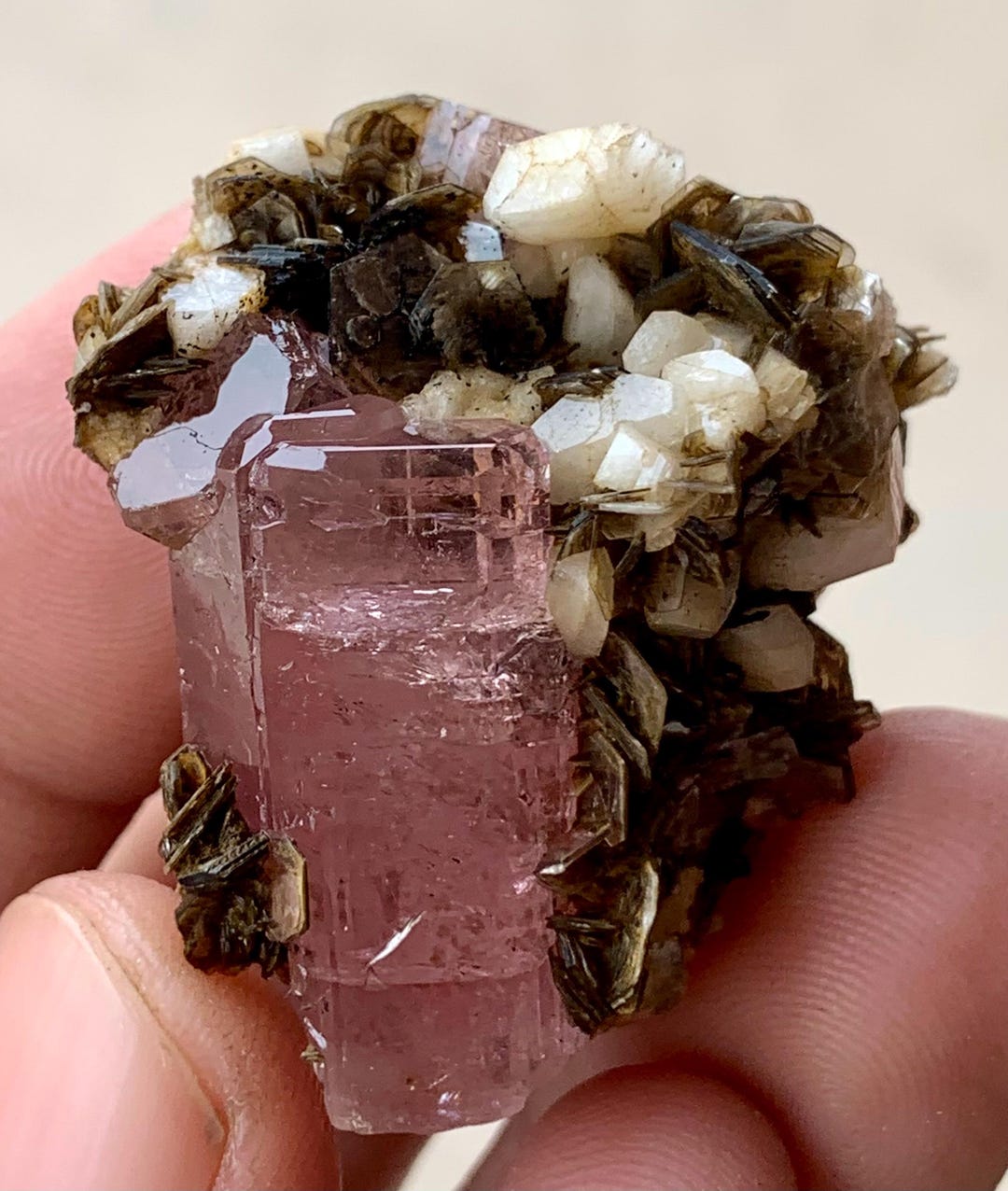 25 Grams Beautiful Pink Apatite Crystals With Muscovite Specimen From ...