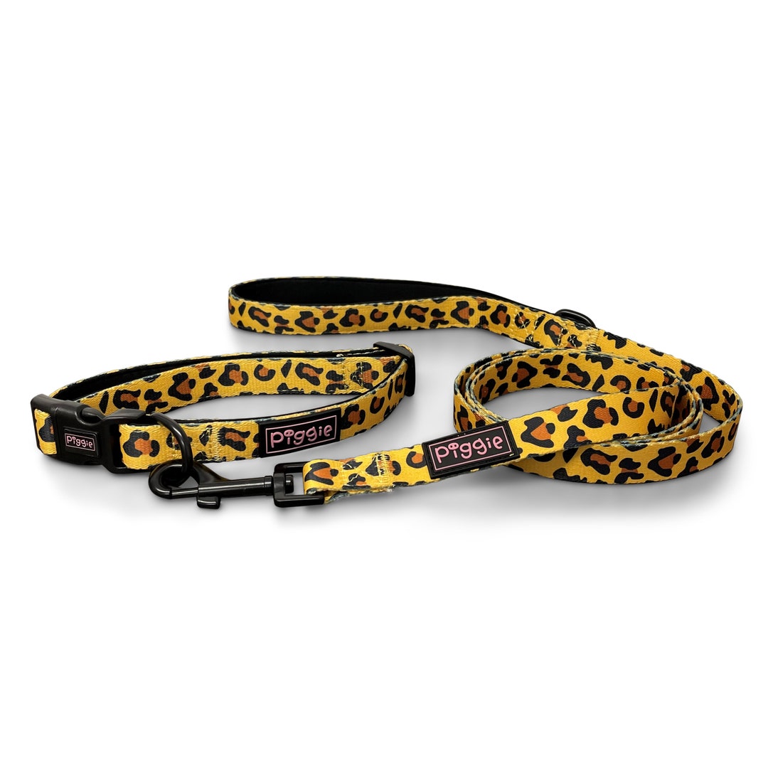 Leo-pawd Power - Leopard Pattern Dog COLLAR and LEAD SET - Dog Collar ...
