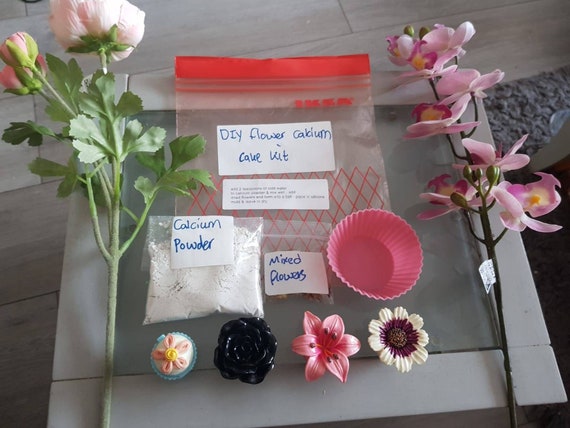 Flower Calcium Cake Kit | Etsy