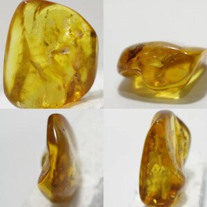 RARE Big STONE Amber With Inclusions SPIDER 29,7 Grams - Etsy