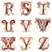 Ruby Alphabet | Transparent PNG SVG | Illuminated Letters | July ...