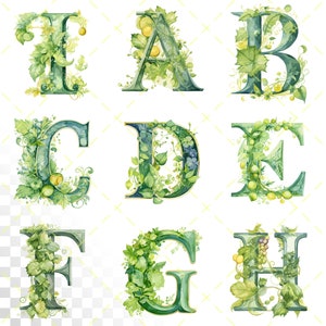 Mojito Alphabet | Transparent PNG SVG | Illuminated Letters | Summer ...