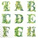 Mojito Alphabet | Transparent PNG SVG | Illuminated Letters | Summer ...
