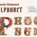 Pheonix Alphabet Bundle Transparent PNG SVG Download Illuminated ...