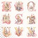 Fairytale Princess Castle Alphabet | Transparent PNG SVG | Fancy ...