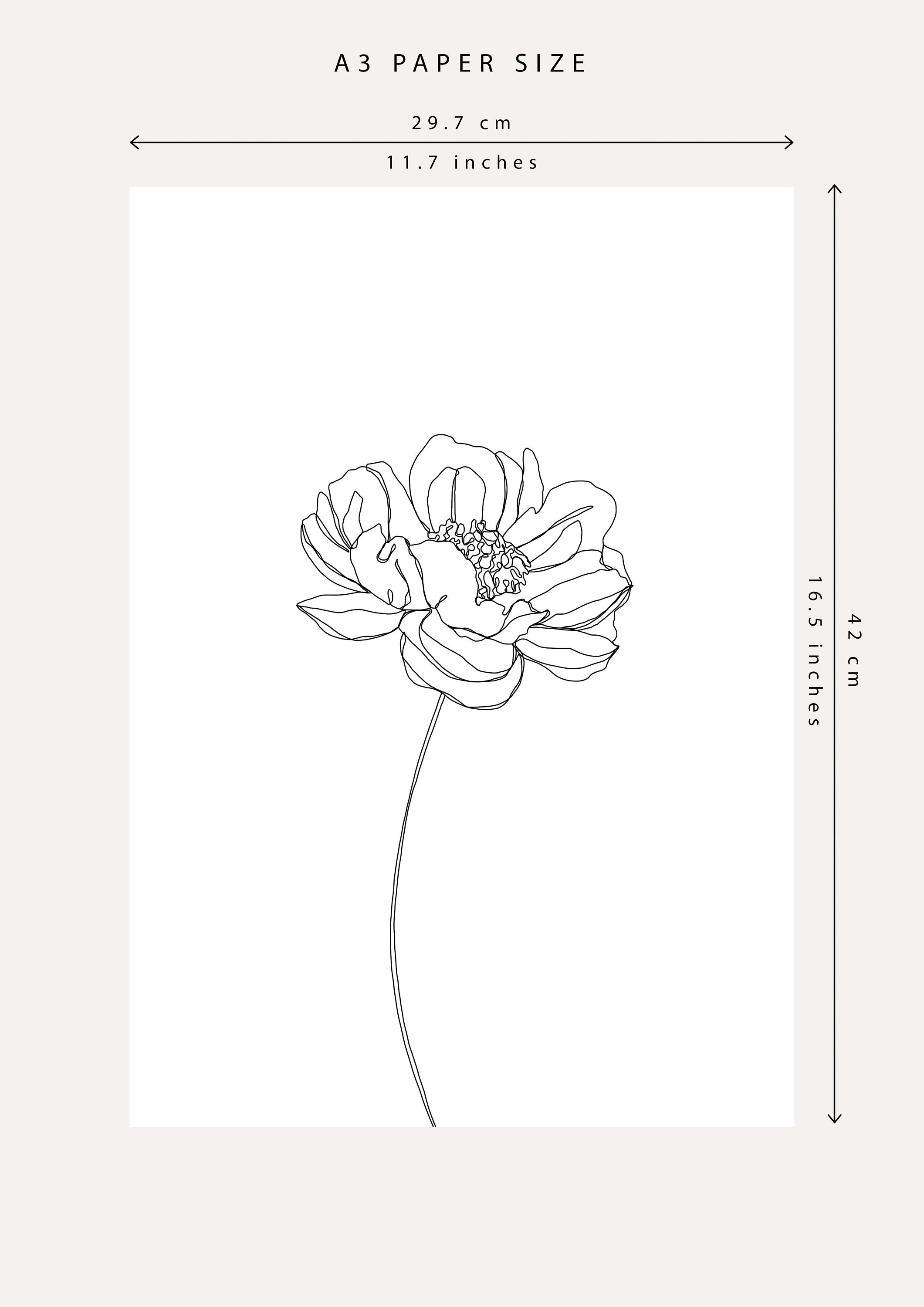 Stem Flower Illustration Art Print, Botanical Line Drawing, 5x7, A5 ...