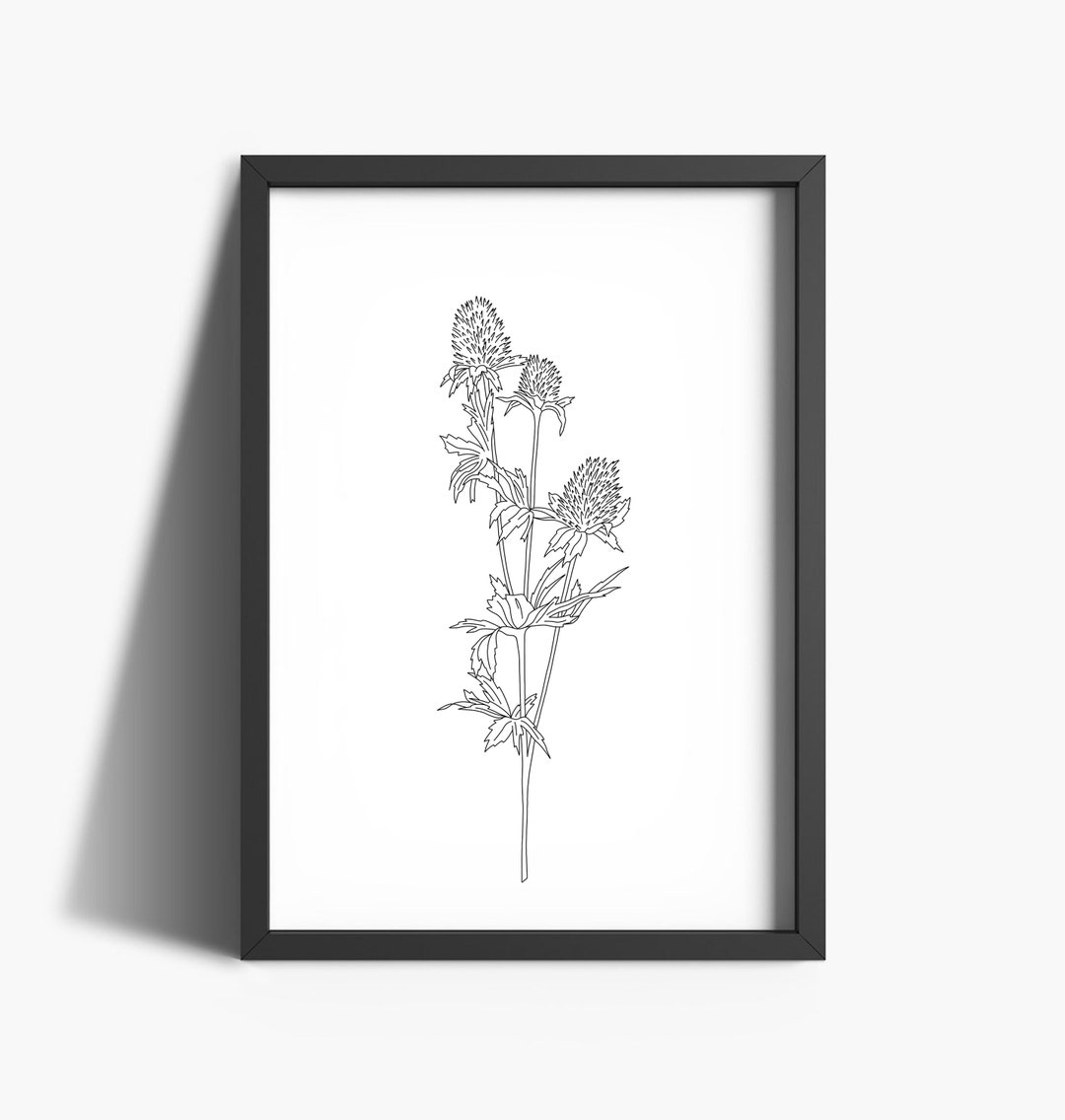 Minimalist Black and White Botanical Thistle Flower Illustration ...