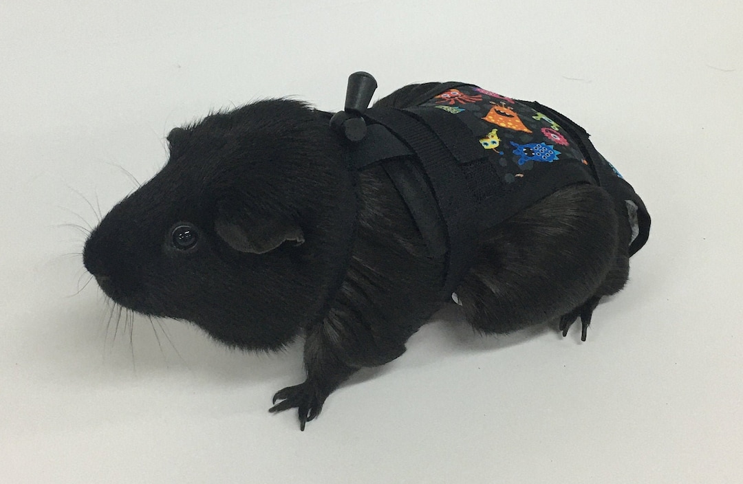 Piggy Pants Diapers - Little Monsters **FREE SHIPPING in Continental ...