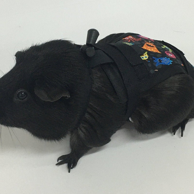 Guinea Pig Clothes - Etsy