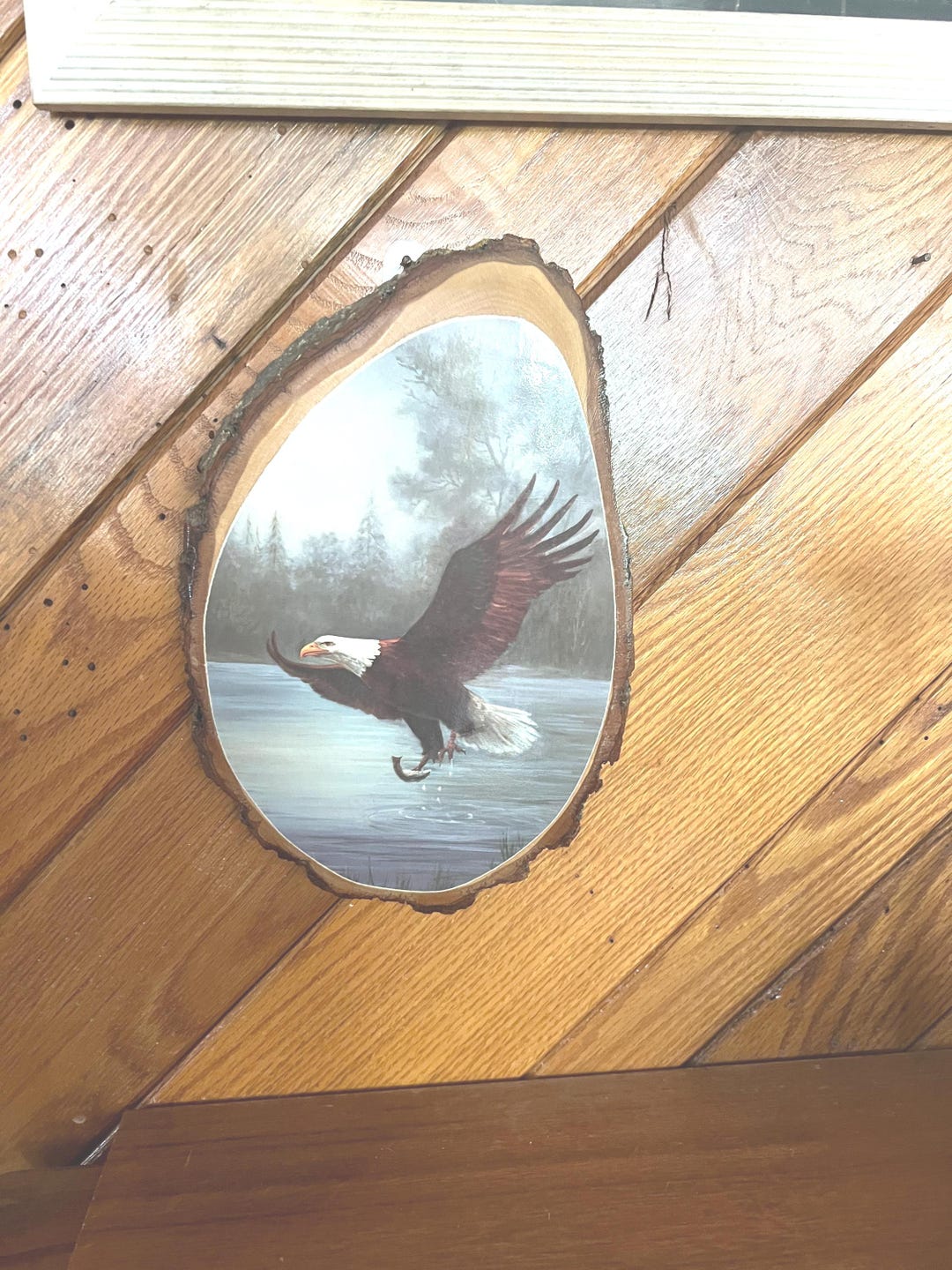 Vintage Tree Slab Wall Art Plaque American Bald Eagle - Etsy