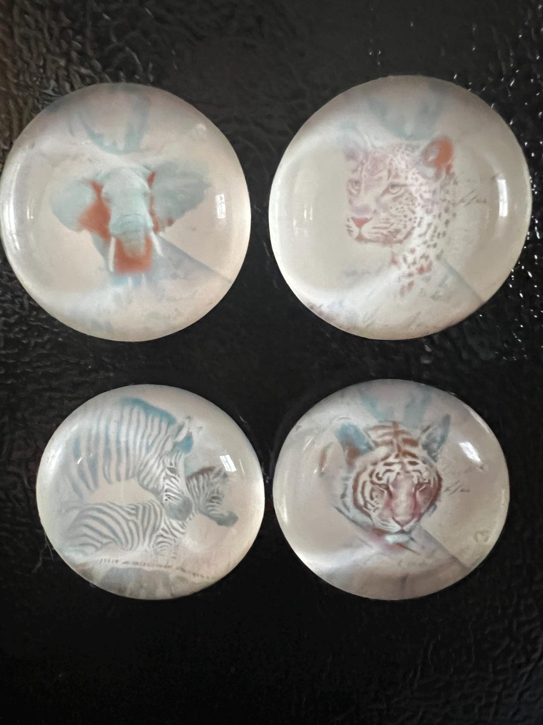 Vintage Lucite Acrylic Set of 4 Refrigerator Magnets Zebra Tiger ...