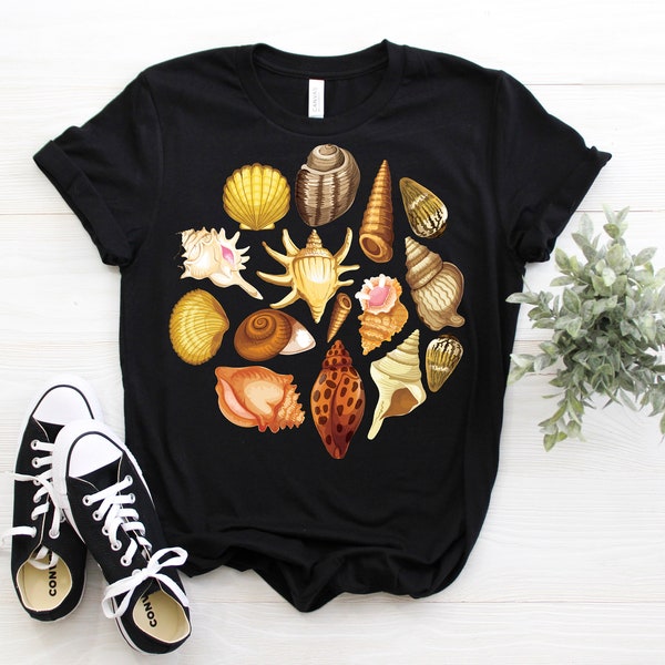 Sea Shells Collector - Etsy