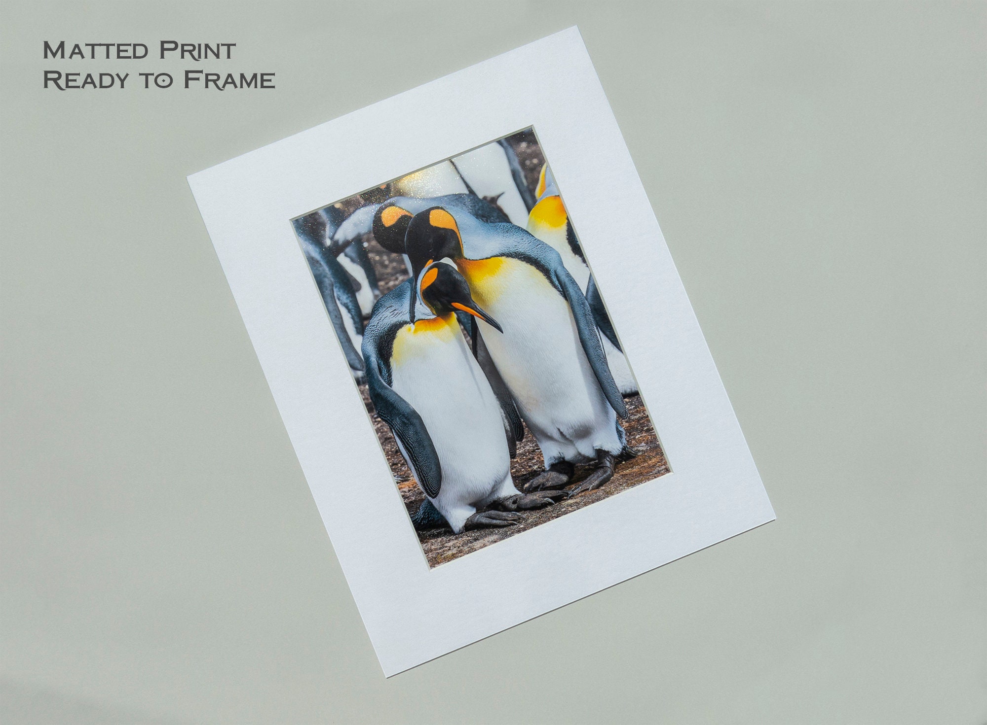 Eclipse Diamond Ring Photo - Etsy