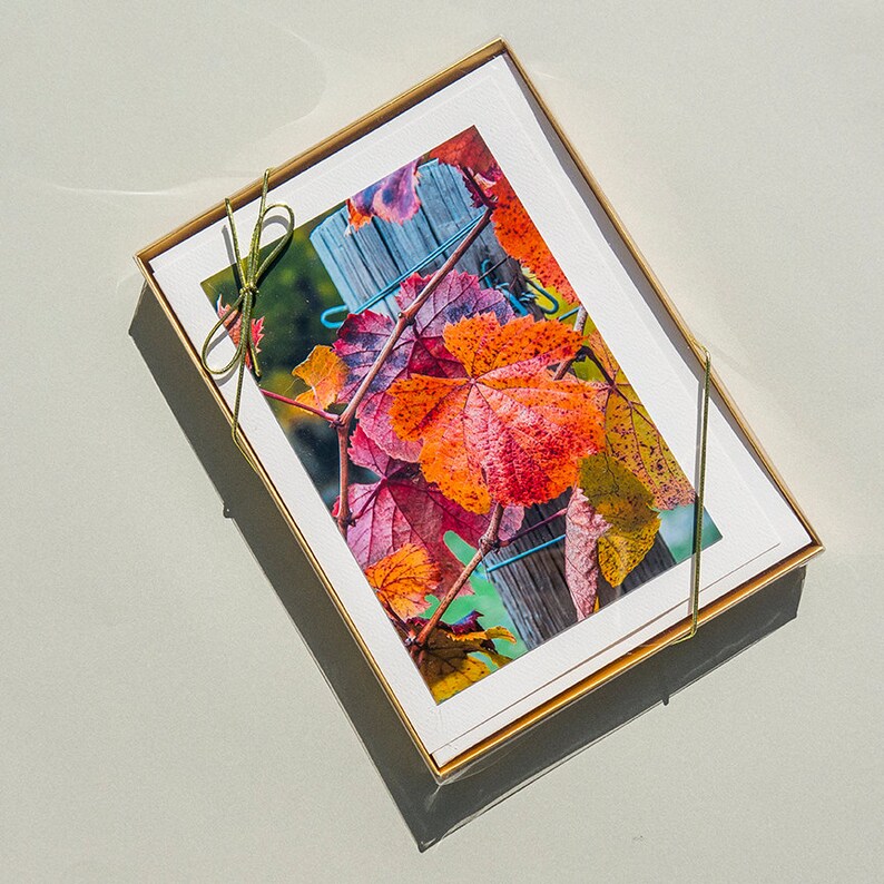 Boxed Set of Assorted Note Cards - Etsy