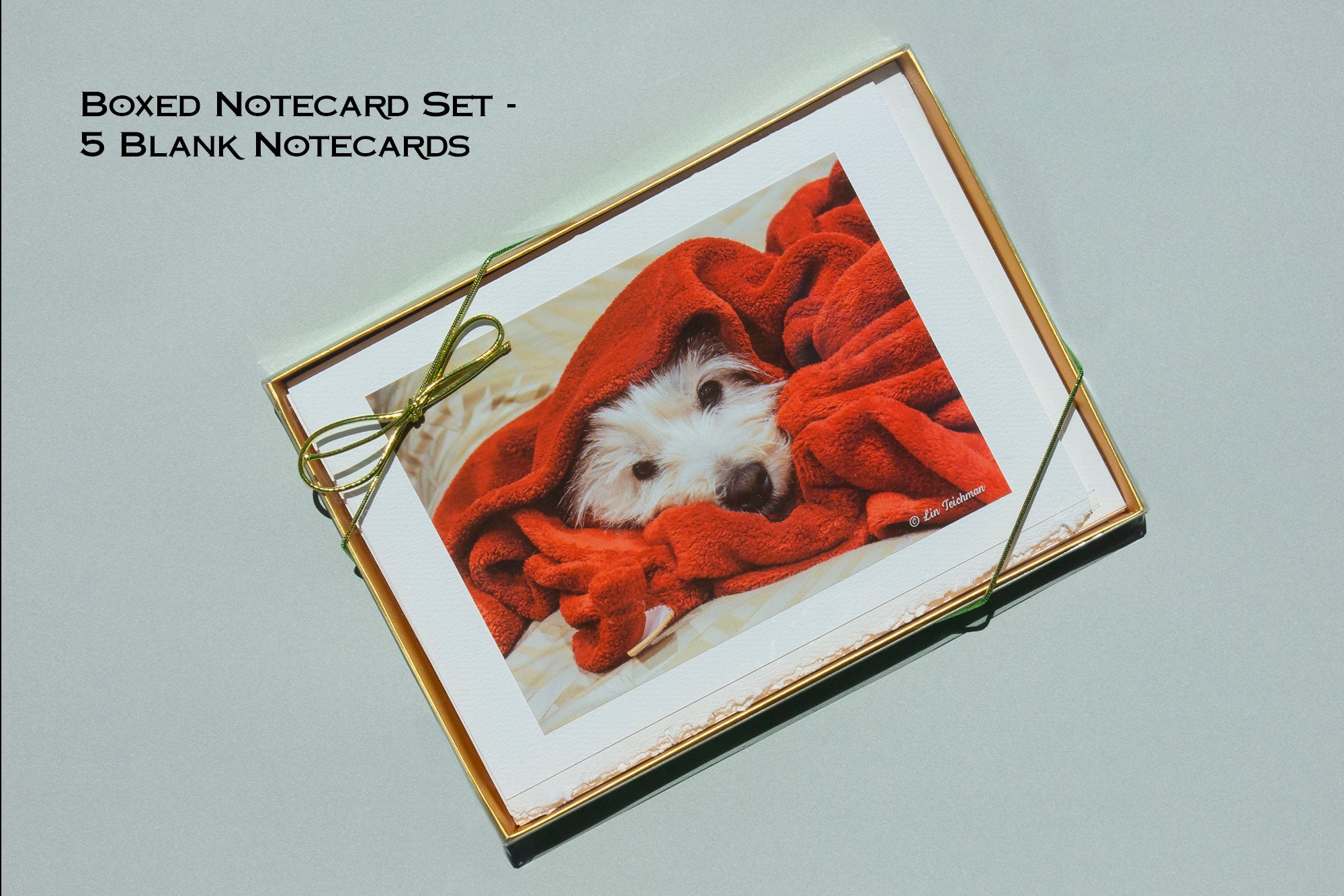 Eclipse Diamond Ring Photo - Etsy