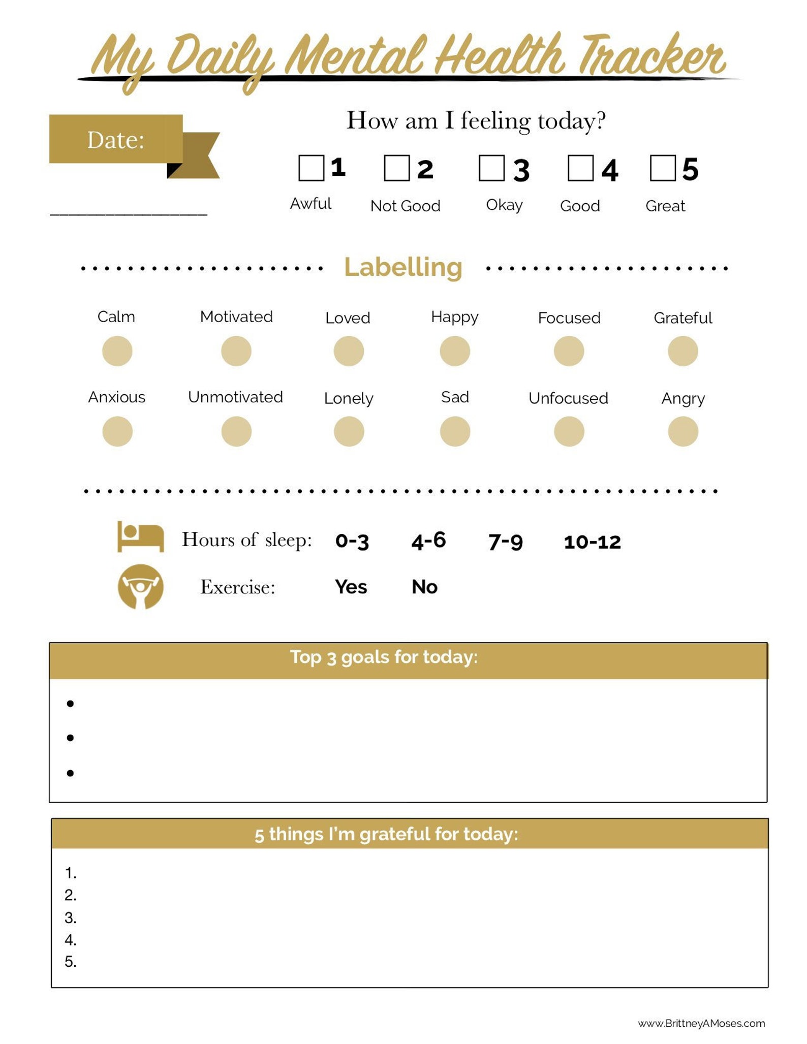 Daily Mental Health Tracker - Etsy