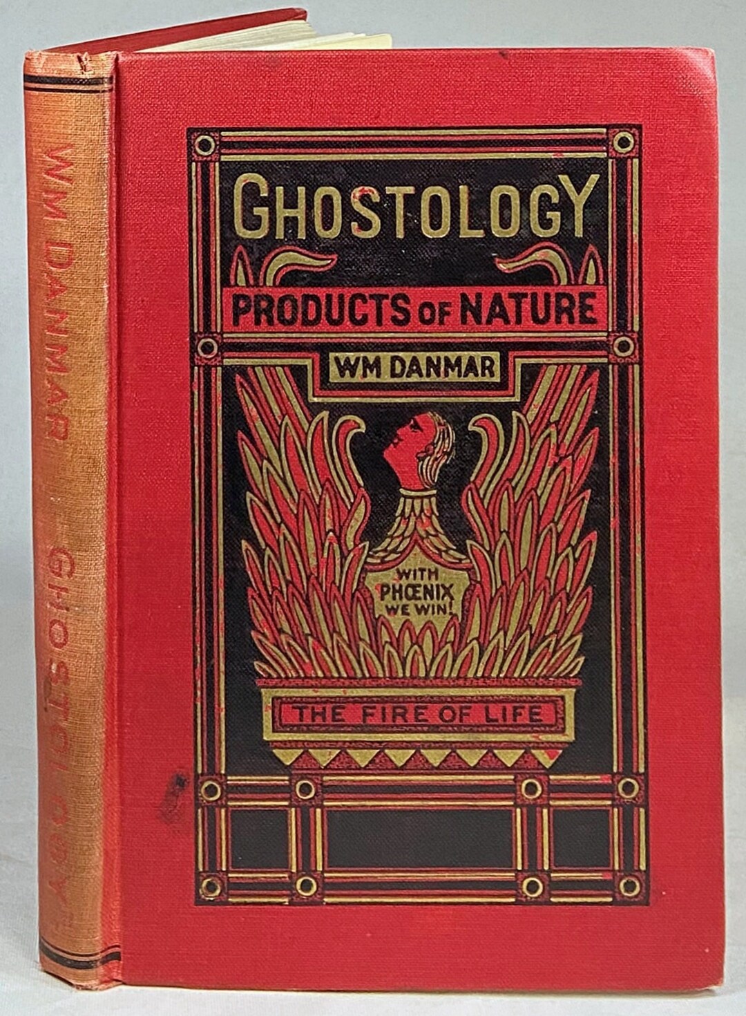 1924 GHOSTOLOGY Rare Decorative Vintage /antique Occult Book DANMAR ...
