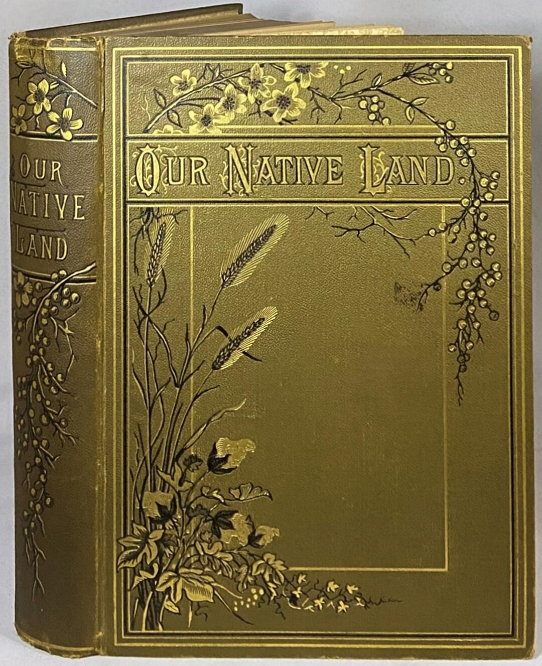 Antique 1882 OUR NATIVE LAND Decorative Victorian American Illustrated ...