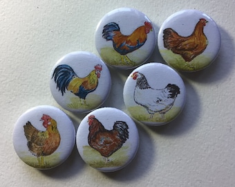 Rooster Fridge Magnet Animal Wooden Magnets Figures Pretty Chicken ...