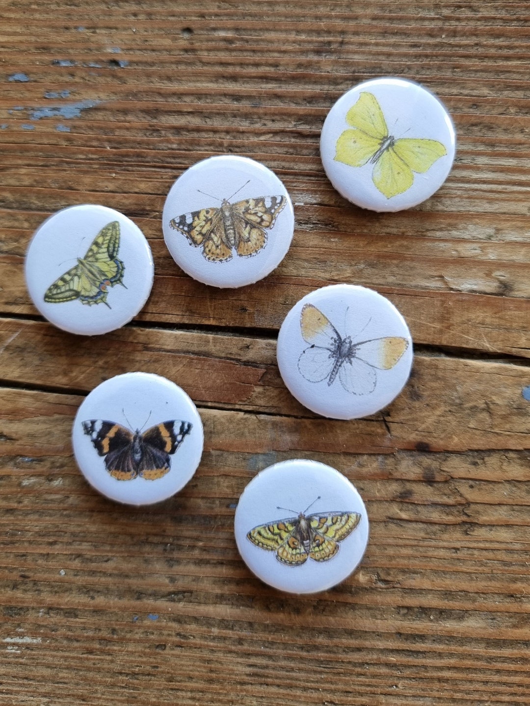 Fridge Magnets Butterflies II (set of 6) - Etsy