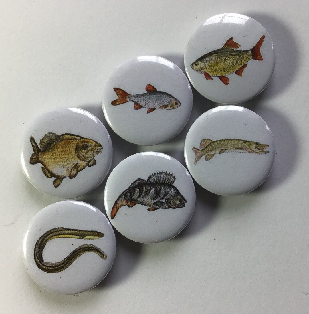 Fridge Magnets fish, Set of 6 - Etsy