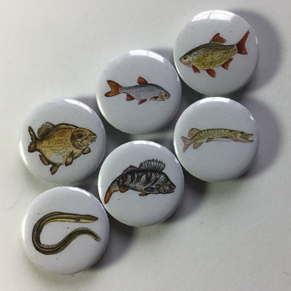 Fridge Magnet Set - Etsy