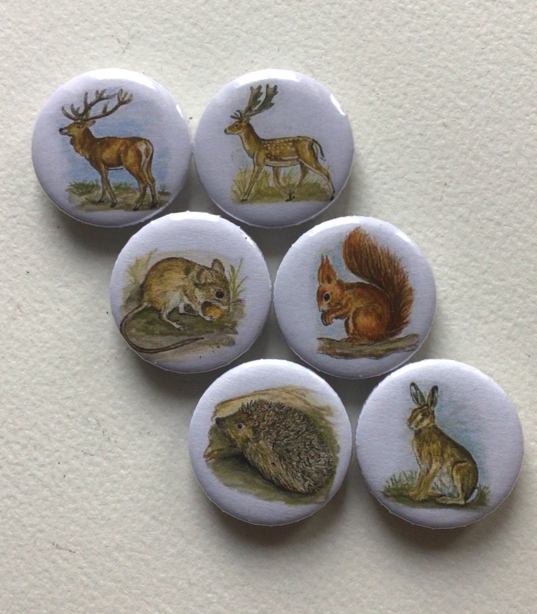 Magnets Forest Animals - Etsy