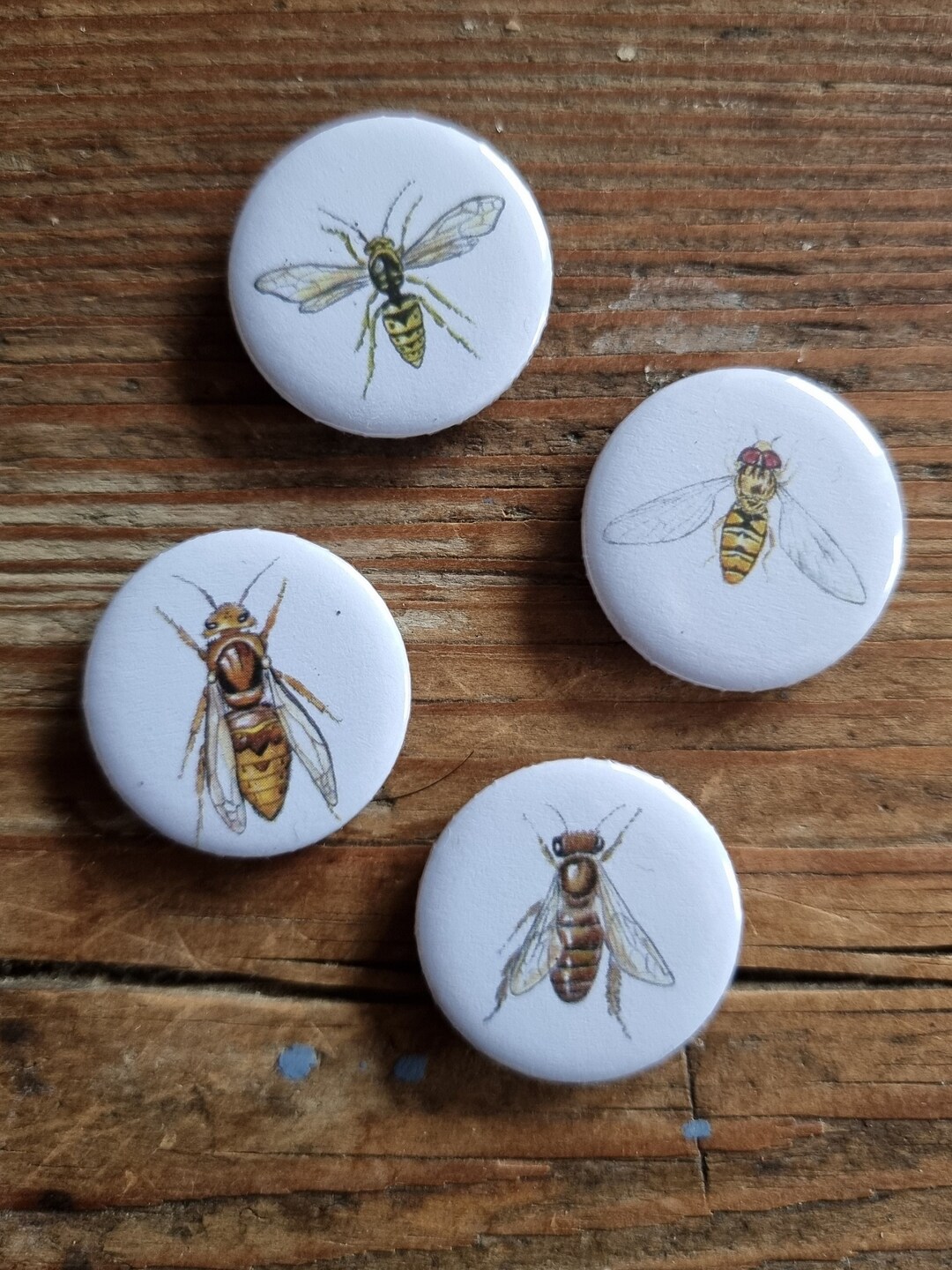 Fridge Magnets “bees, Wasps and Co” - Etsy