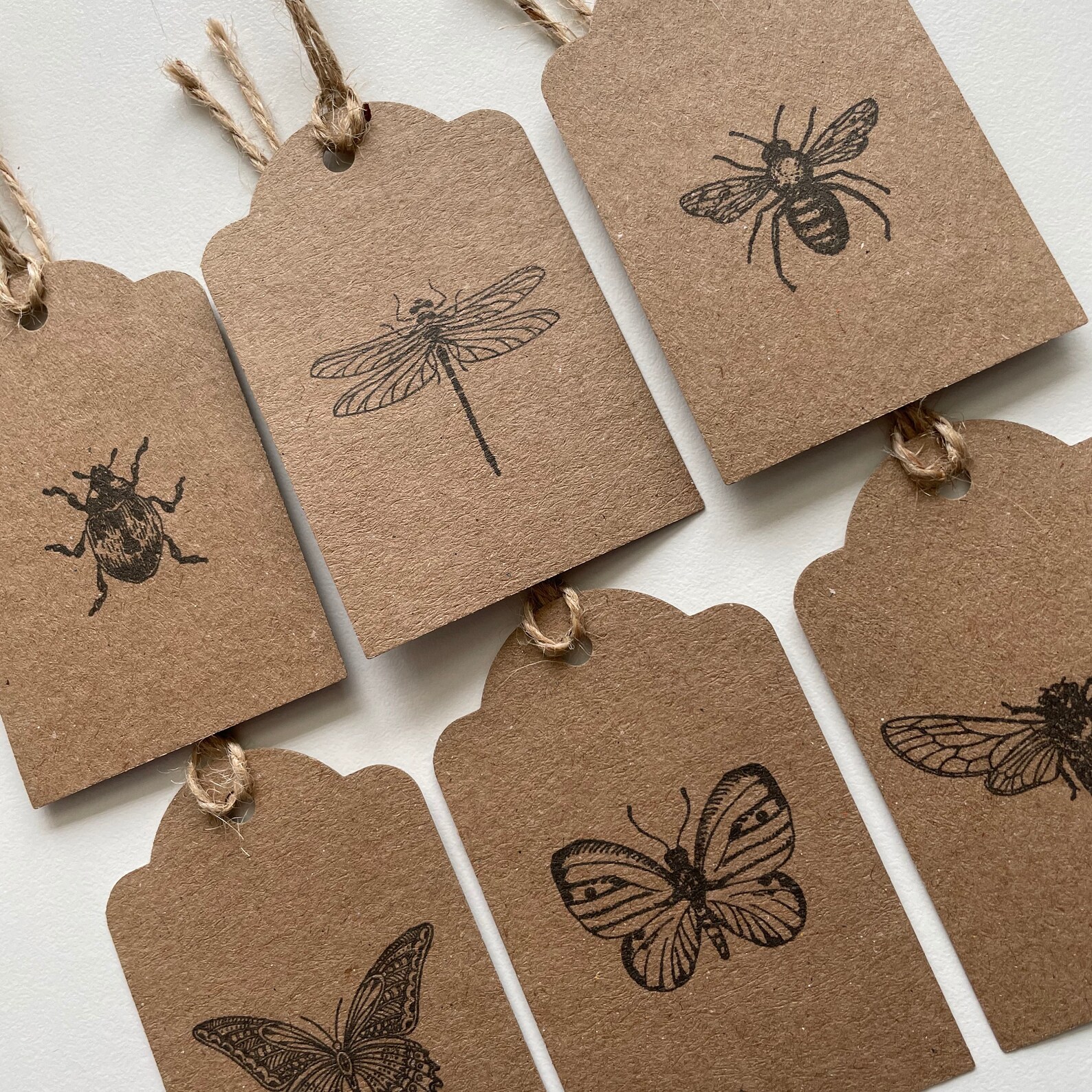 Wildlife Insect Gift Tags Vintage Style Label Tags for Gift - Etsy