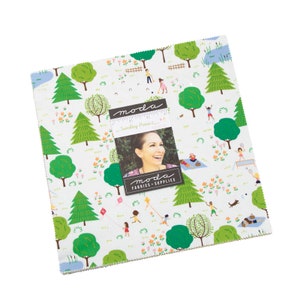 Sunday Picnic Layer Cake by Stacy Iest Hsu of Moda - Etsy