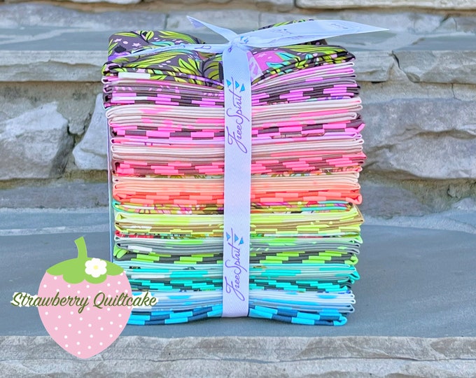 Wish Quilt Kit Featuring Everglow by Tula Pink - Etsy