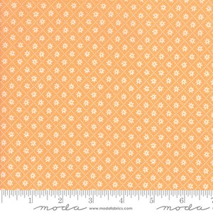 Sunday Picnic Layer Cake by Stacy Iest Hsu of Moda - Etsy